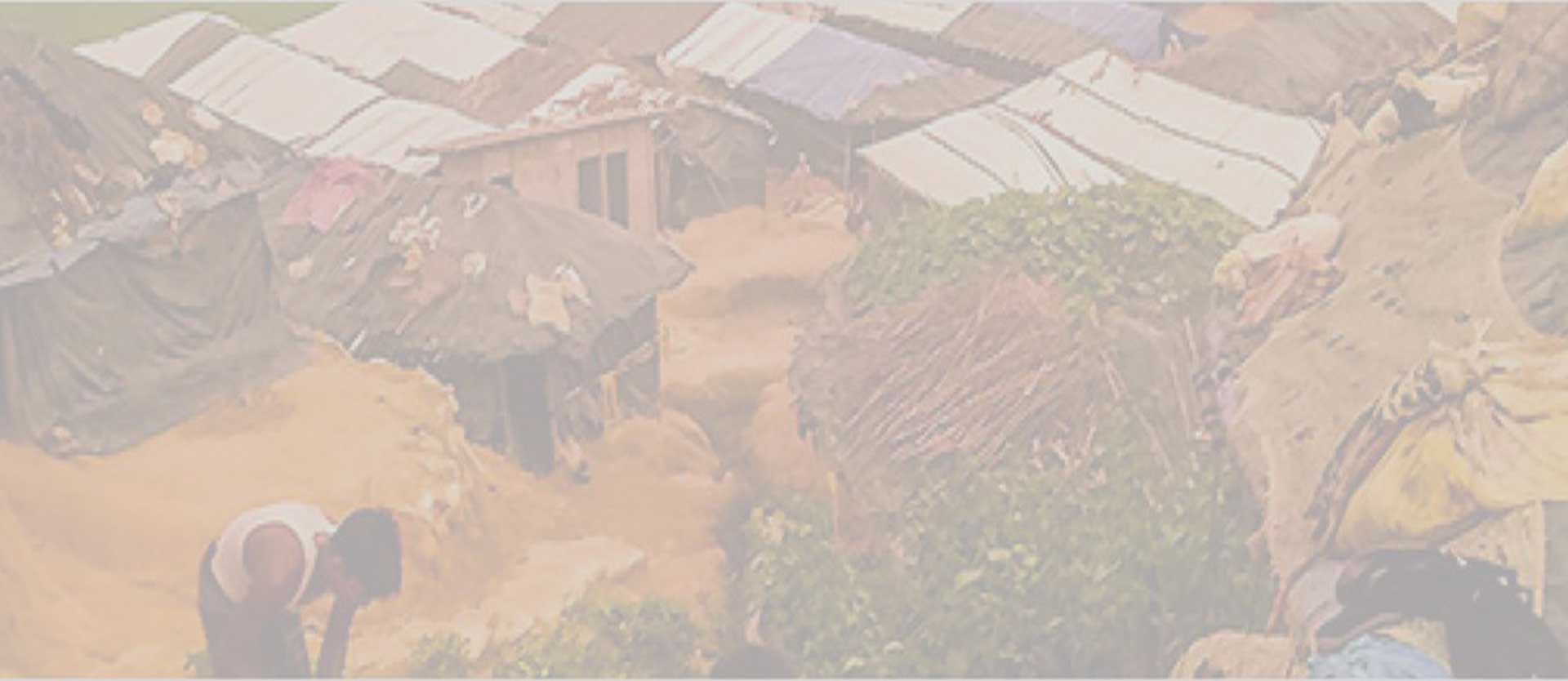 disaster_relief-1-scaled - Humanity First International